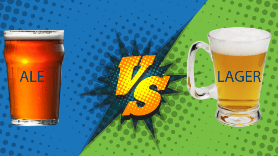 24 Beer Types Every Bartender Should Know